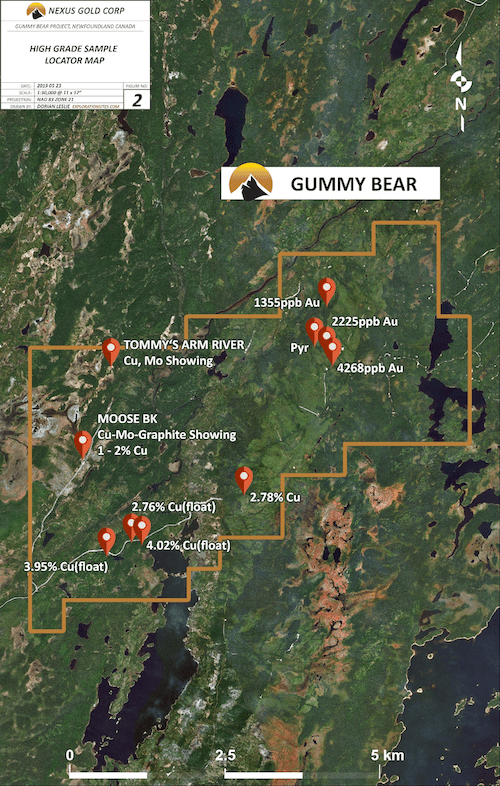 Nexus Gold（TSXV：NXS）投资者概述|客栈