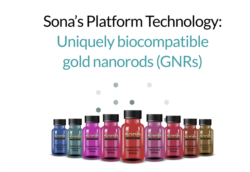 Sona Nanotech: Leveraging Nanotechnology in Colorectal Cancer Therapy | INN